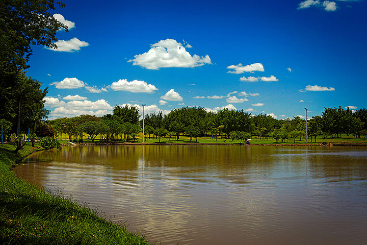p-019-ARS_06_5283_P | Cidade e Cultura