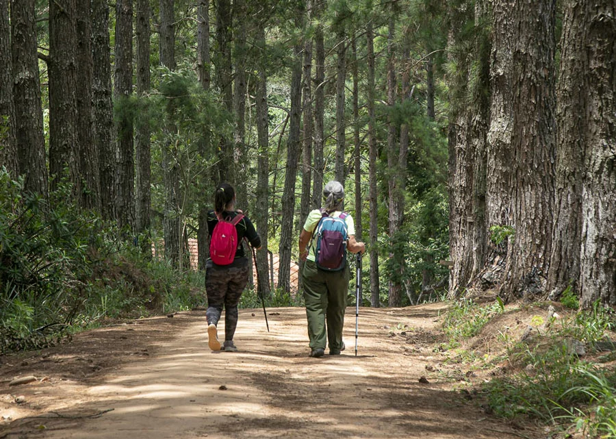 serra-do-japi-trilha-marcio-masulino-8260-2.web | Cidade e Cultura